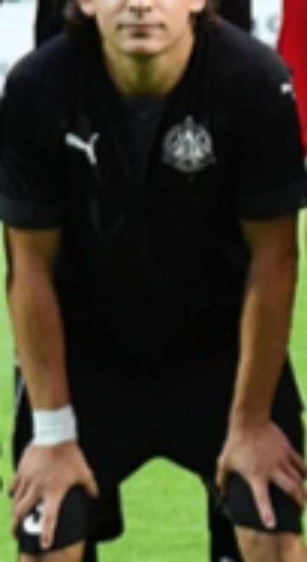 Petrocub Hincesti Kit History - Football Kit Archive