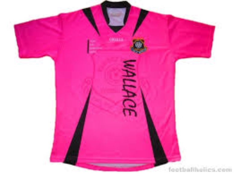 Wexford 2008 Home Kit