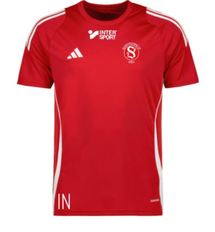 Sandvikens IF 2024 Kit Home
