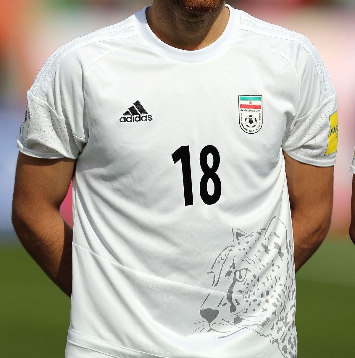 Iran 2016 Home Kit