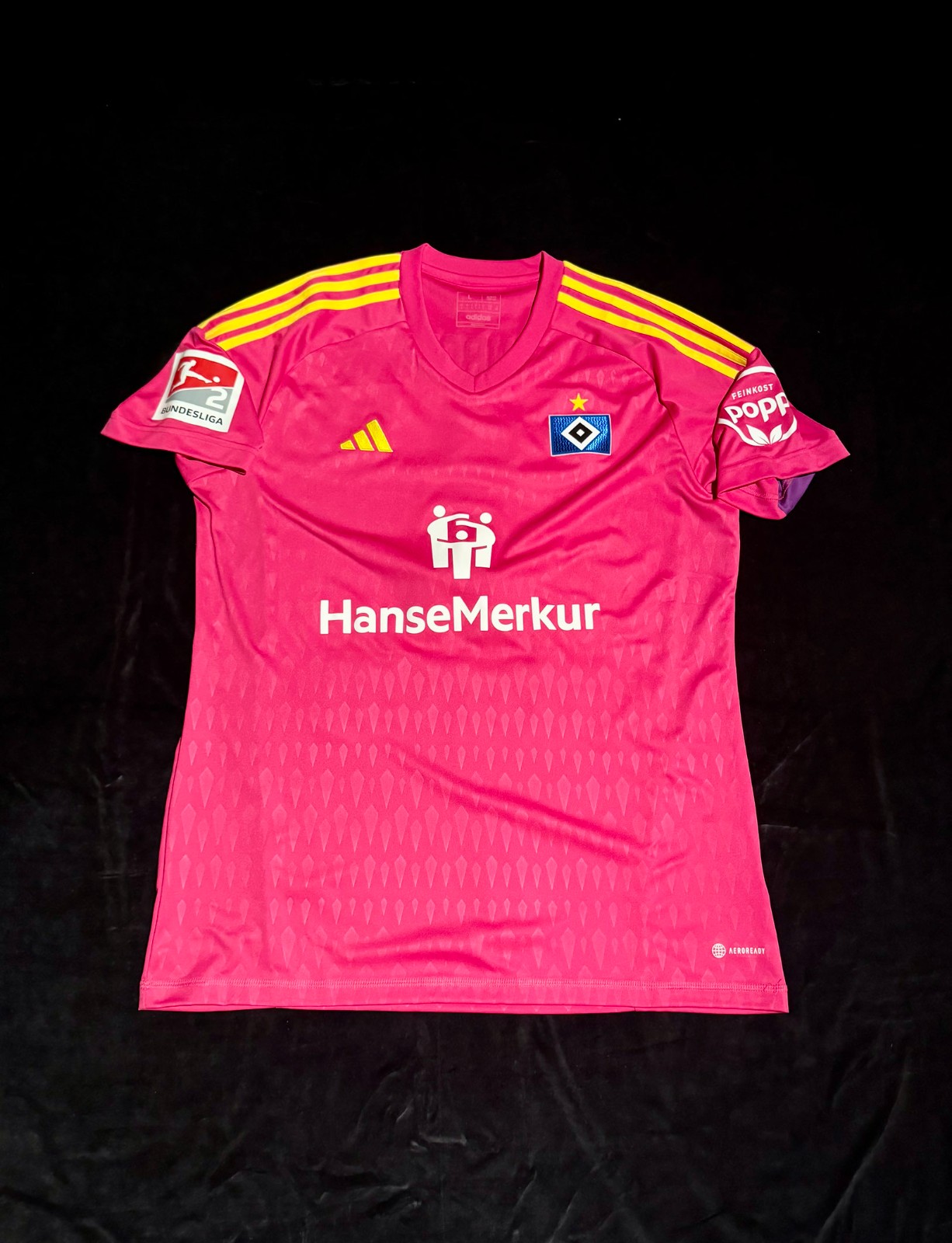 Camisa Goleiro 4 Hamburger SV 2023-24