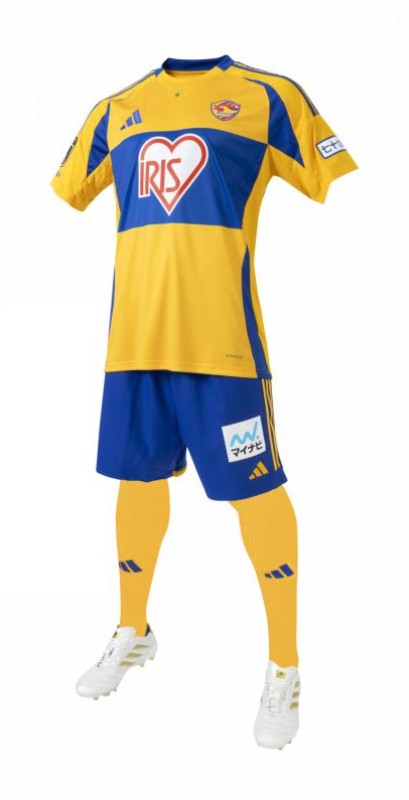 Vegalta Sendai 2025 Thuistenue