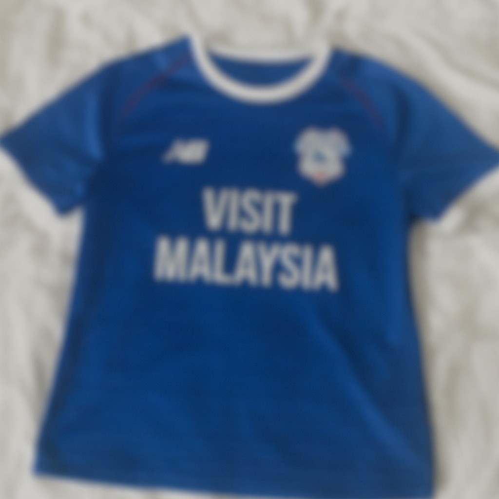 Cardiff City 2025-26 Tenues
