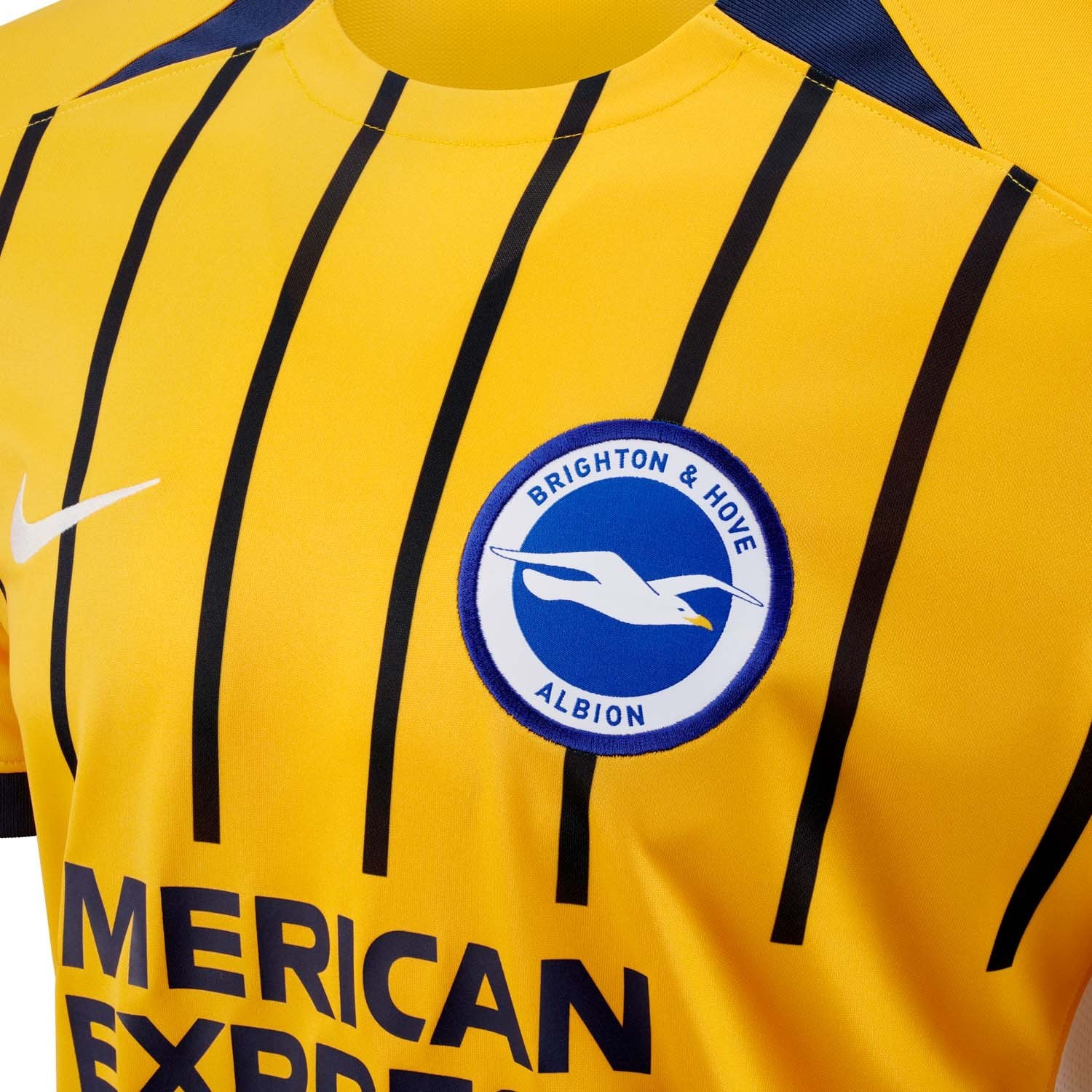 Brighton & Hove Albion 2025-26 Third Kit