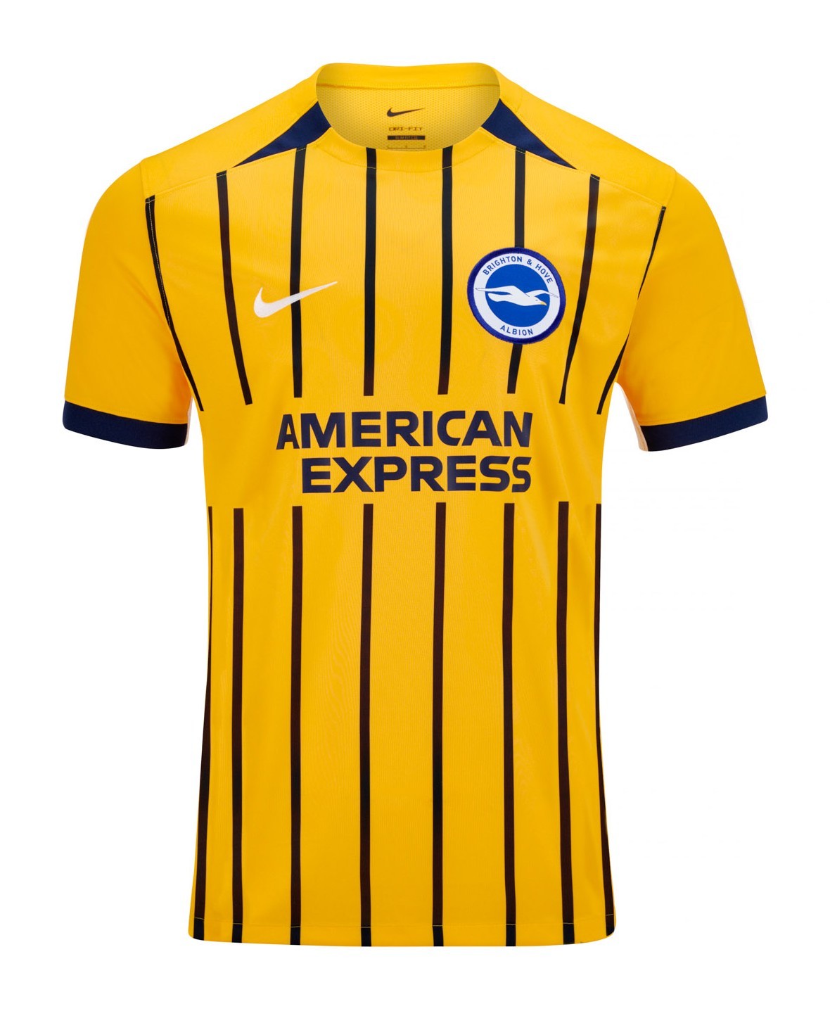 Brighton & Hove Albion 2025-26 Third Kit