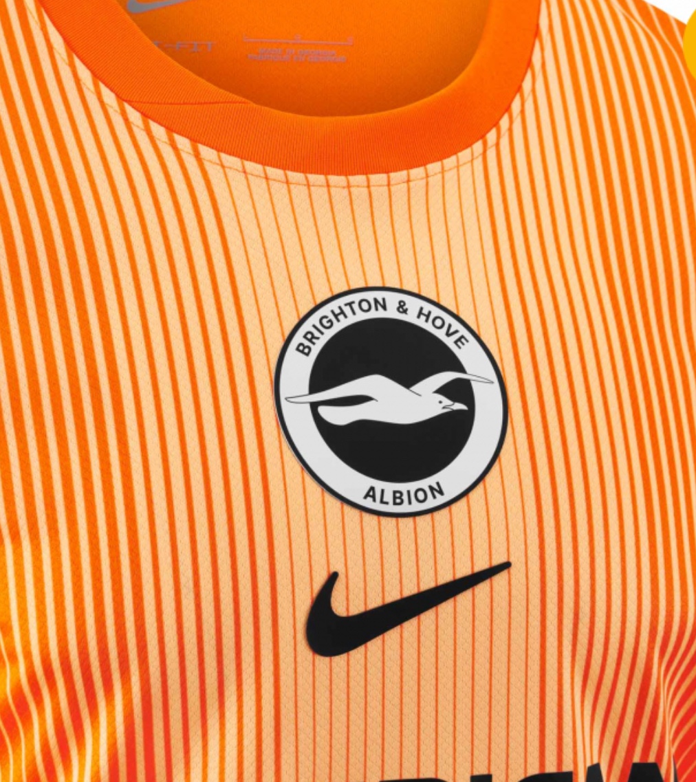 Camiseta PT 3 Brighton & Hove Albion 2025-26